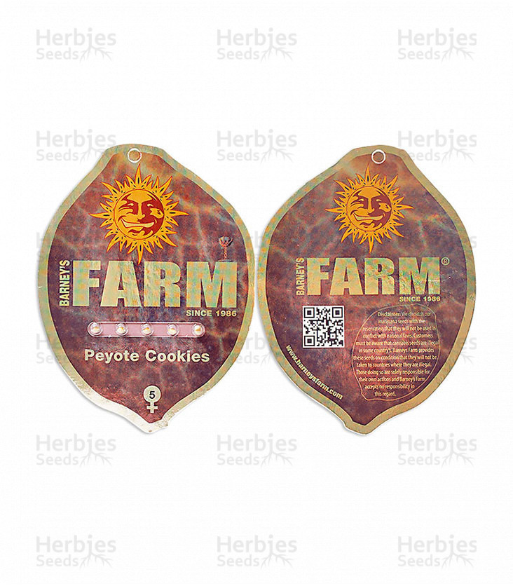 Buy Peyote Cookies fem by Barney's Farm - Herbies Seeds