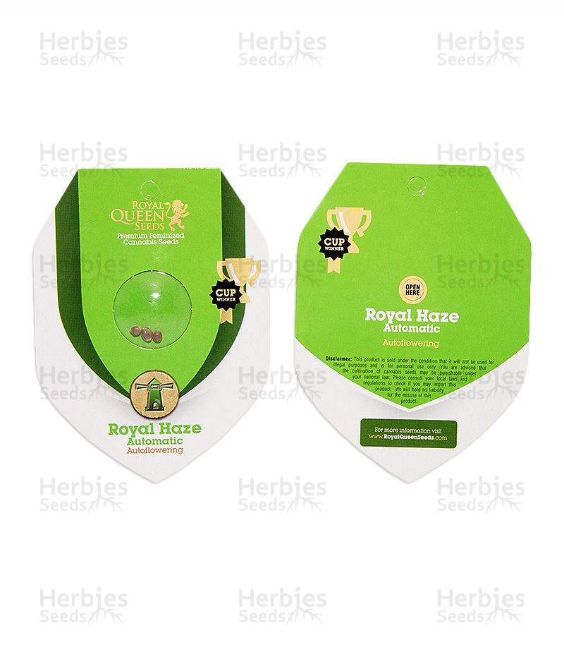 Vente de graines de cannabis Royal Haze Automatic (RQS) - Herbies Seeds