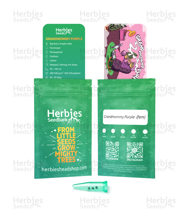 Grandmommy Purple fem: seeds for sale, strain information and customer ...