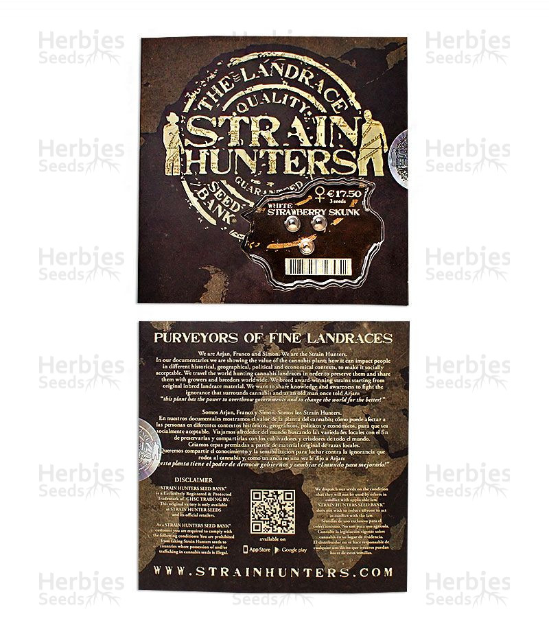 Buy White Strawberry Skunk feminized seeds by Strain Hunters - Herbies