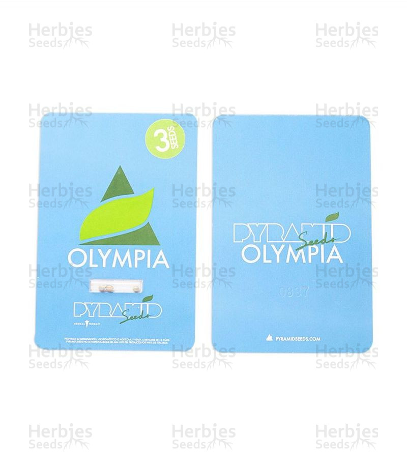Buy Olympia feminized seeds by Pyramid Seeds - Herbies Seeds