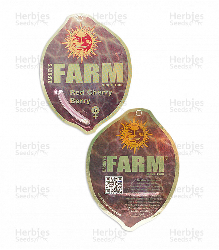 Buy Red Cherry Berry feminized seeds by Barney's Farm - Herbies