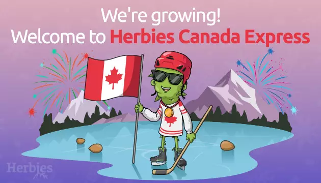 Buy Premium Cannabis Seeds • FREE Shipping - Herbies Seeds