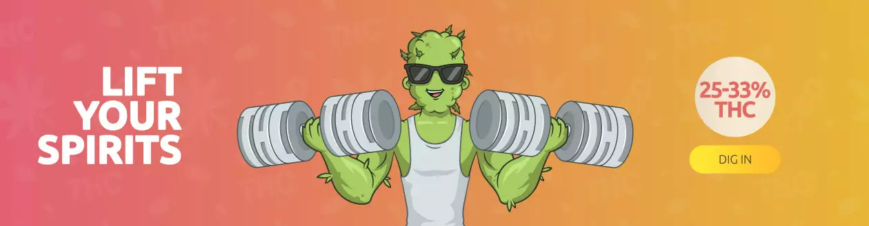 Buy Marijuana Seeds • FREE Shipping - Herbies Seeds