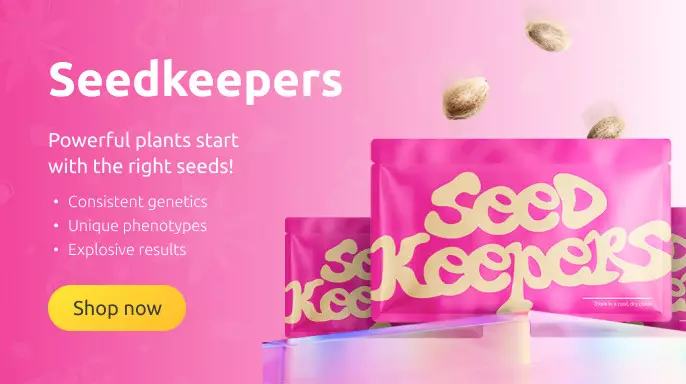Buy Cannabis Seeds • FREE Shipping - Herbies Seeds UK