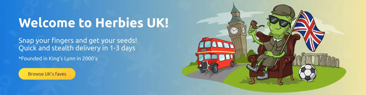 Marijuana Seeds | Buy Cannabis Seeds Online - Herbies Seeds UK