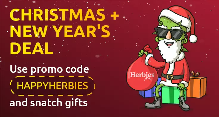 Marijuana Seeds – Cannabis Seeds For Sale – Buy Weed Seeds Online - Herbies