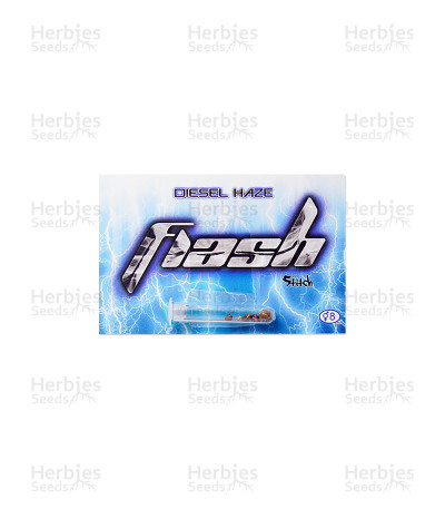 Diesel Haze Auto regular regular seeds for sale - Herbies Seeds