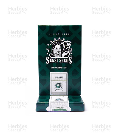 Buy Shiva Shanti Regular seeds by Sensi Seeds - Herbies