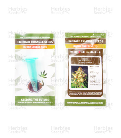 Bubba Cheese Auto feminized seeds for sale by Emerald Triangle Seeds ...