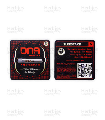 Buy Sleestack feminized seeds by DNA Genetics - Herbies