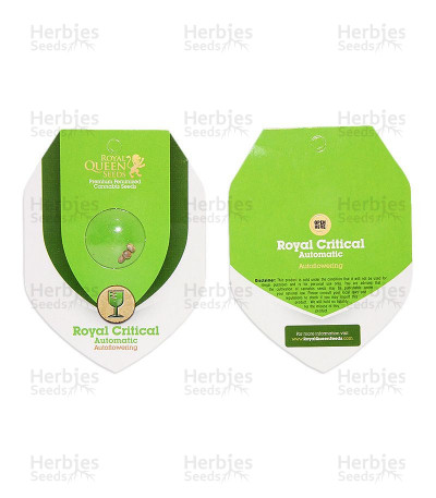 Buy Royal Critical Automatic feminized seeds by Royal Queen Seeds - Herbies