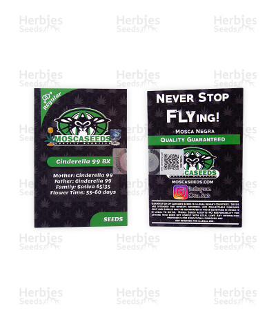 Cinderella99 BX reg: seeds for sale, strain information and customer ...