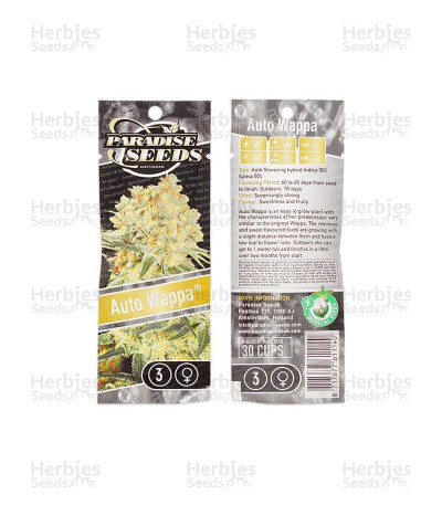 Auto Wappa fem: seeds for sale, strain information and customer reviews ...