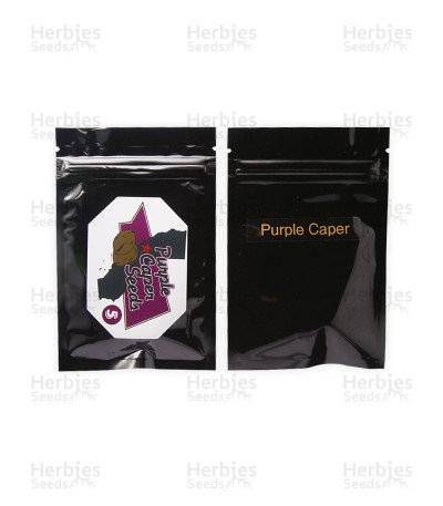 Purple Caper regular seeds for sale: information and reviews - Herbies ...