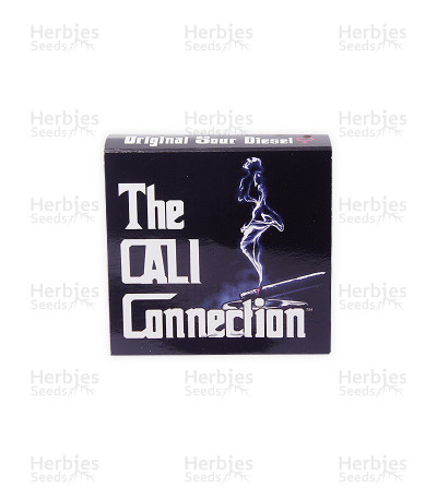 Buy Original Sour Diesel feminized seeds by Cali Connection Seeds ...