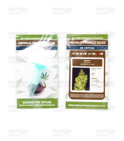 Buy OG Critical regular seeds by Emerald Triangle Seeds - Herbies Seeds