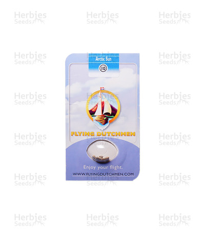 Arctic Sun regular seeds for sale - Herbies Seeds
