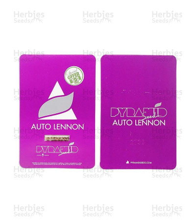 Auto Lennon feminized seeds for sale - Herbies