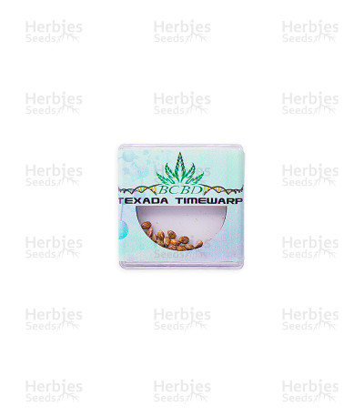 Texada Timewarp Regular seeds for sale - Herbies Seeds