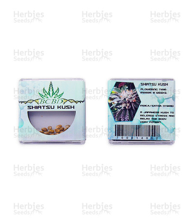 Buy Shiatsu Kush regular seeds by BC Bud Depot Seeds - Herbies