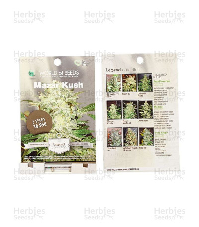 Mazar Kush feminized seeds for sale: information and reviews - Herbies ...