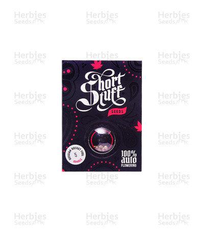 Russian Rocket Fuel Auto feminized seeds for sale - Herbies Seeds