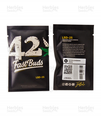 LSD-25 auto feminized seeds for sale: information and reviews - Herbies