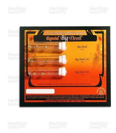 Especial Big Devil feminized seeds for sale - Herbies