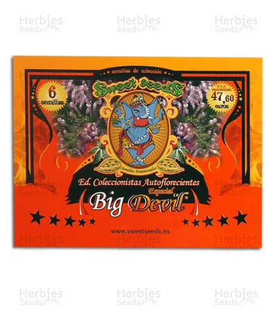 Especial Big Devil feminized seeds for sale - Herbies Seeds