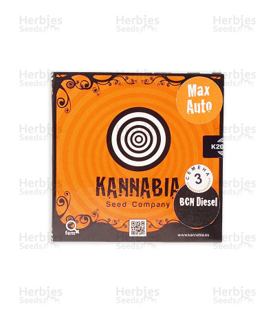 BCN Diesel Max Auto feminized seeds for sale: information and reviews ...